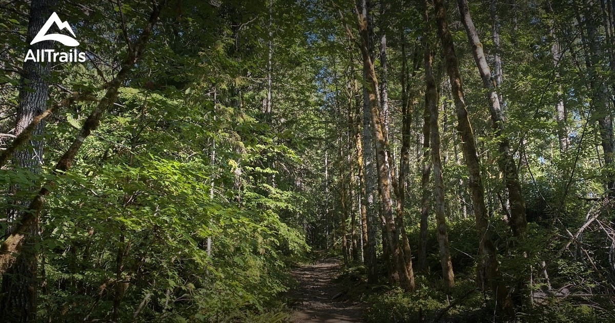 Wiener Falls - hikes and trails to get you there | AllTrails