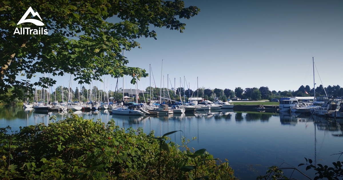 Scarborough Bluffs - hikes and trails to get you there | AllTrails