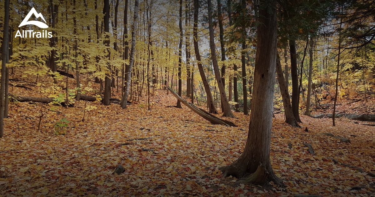 Princess Louise Falls - hikes and trails to get you there | AllTrails
