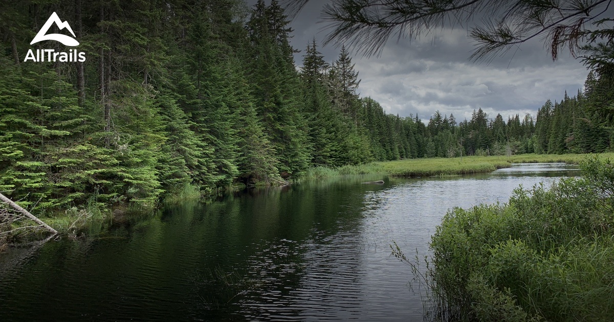 Waber falls - hikes and trails to get you there | AllTrails