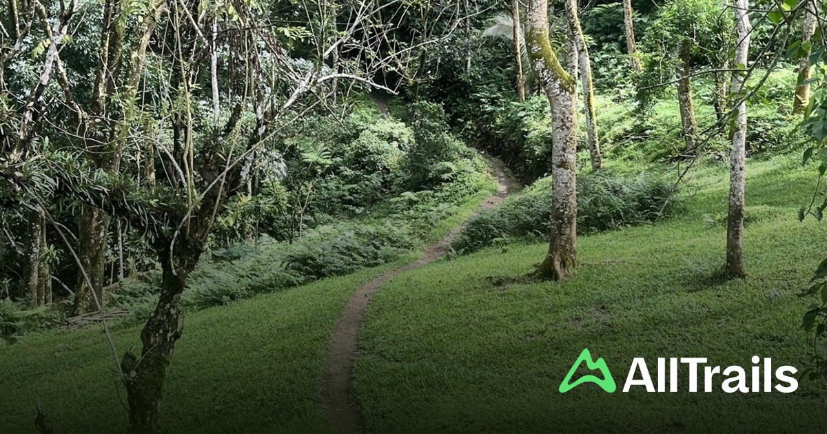 Mount Timpoong - hikes and trails to get you there | AllTrails