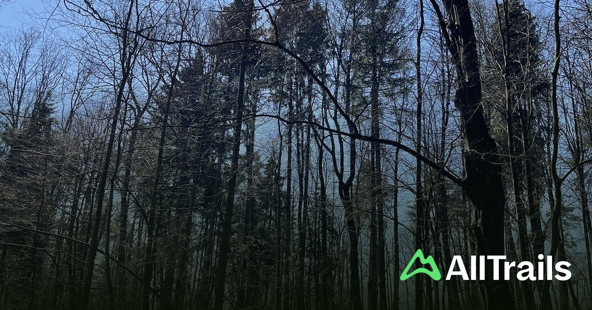 Best trails near Tri studničky | AllTrails