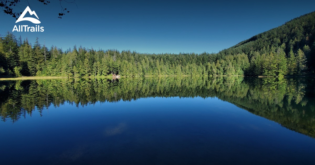Sumas Mountain - hikes and trails to get you there | AllTrails