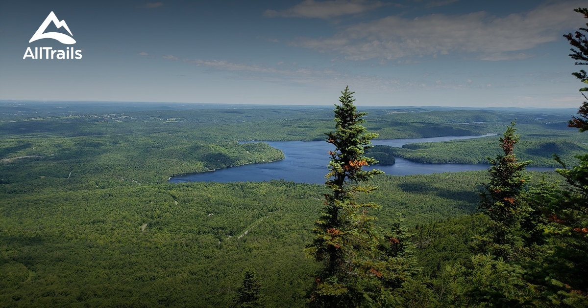 Colline des Buses - hikes and trails to get you there | AllTrails