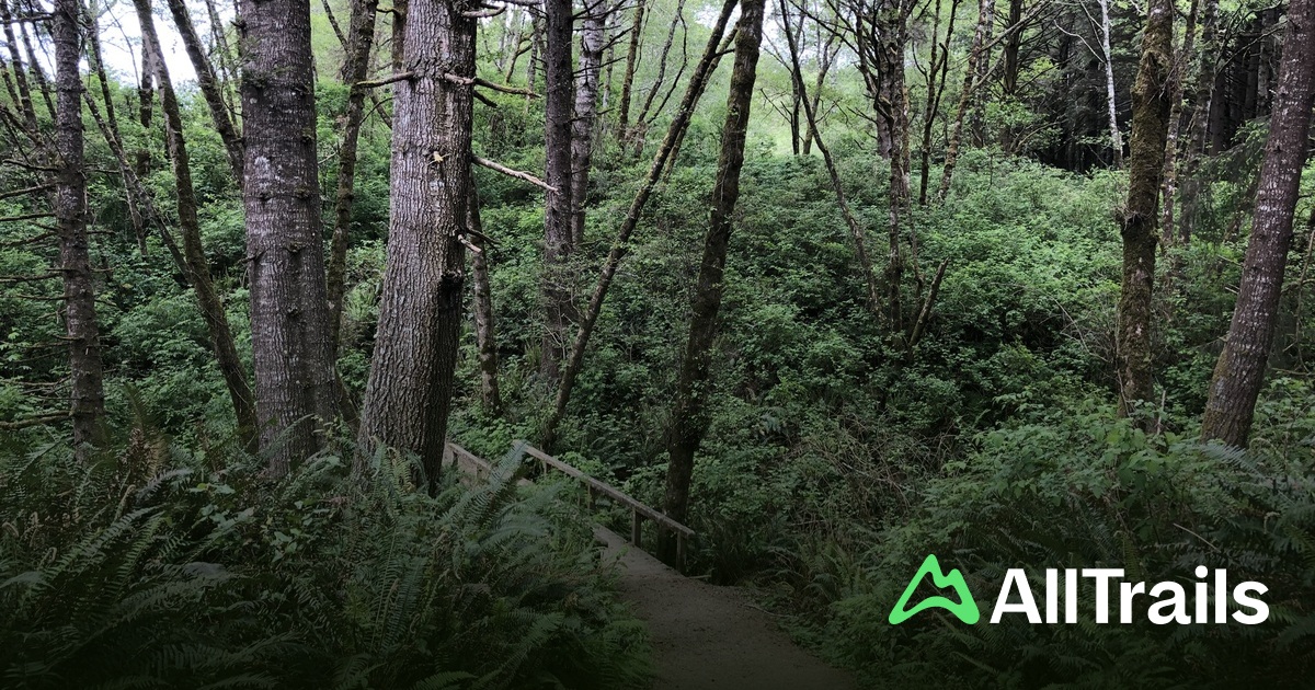 Best trails near Trinidad State Beach | AllTrails