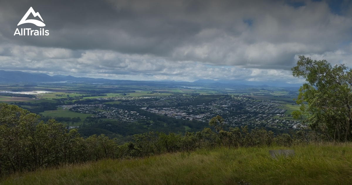 Yabi Mountain - hikes and trails to get you there | AllTrails