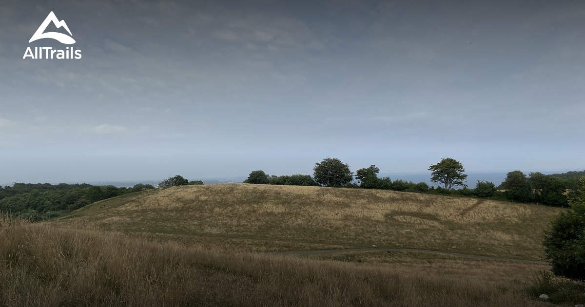 Best trails near Bjerget | AllTrails