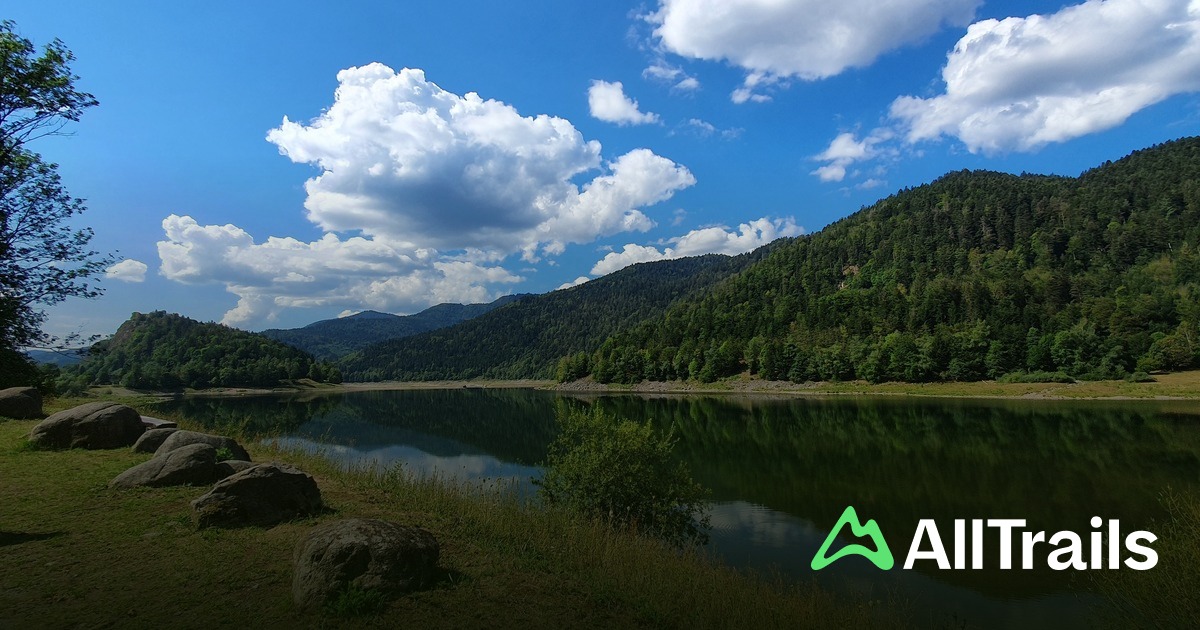 Lac de Kruth-Wildenstein - hikes and trails to get you there | AllTrails