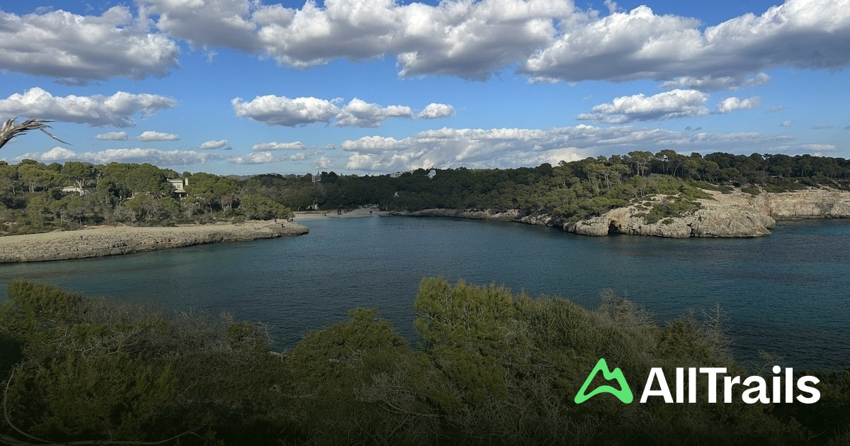 Barraca de roter: Die besten Routen in der Umgebung | AllTrails