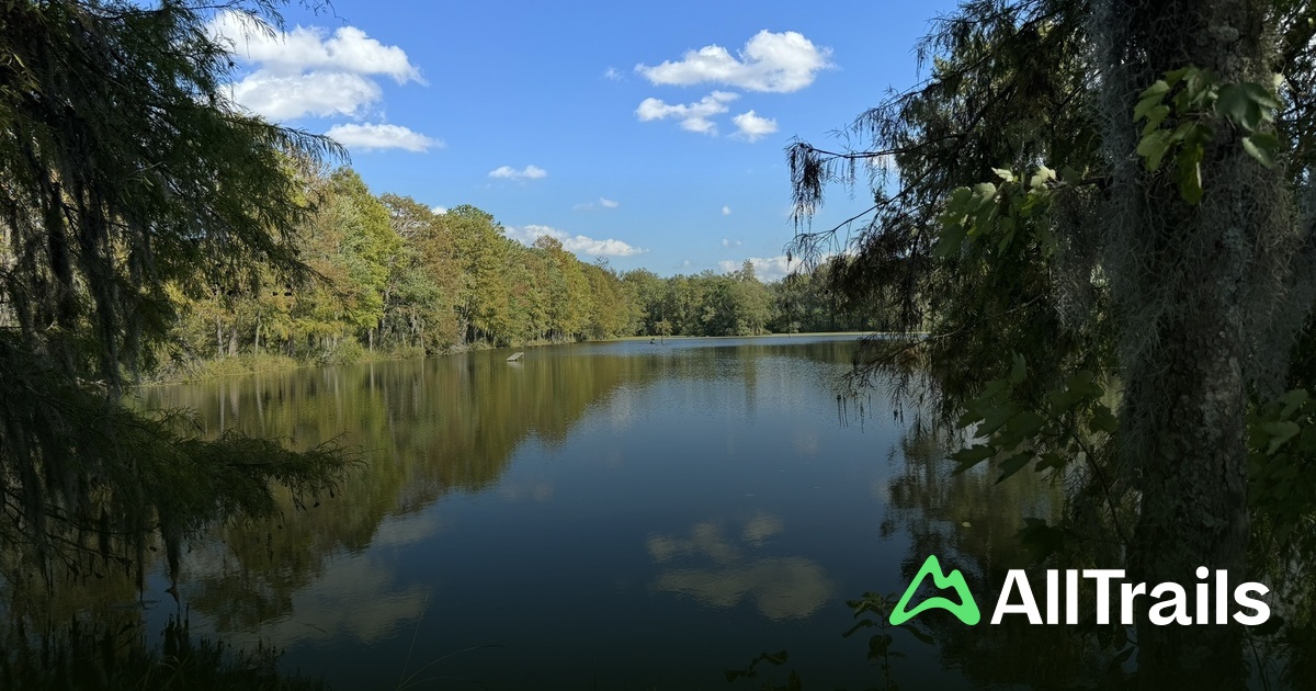Drayton Hall Plantation - hikes and trails to get you there | AllTrails