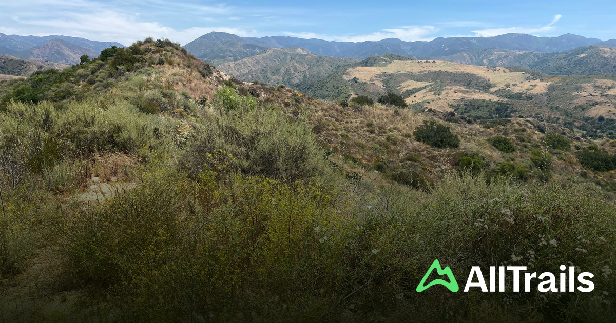 Old Corral Picnic Area - hikes and trails to get you there | AllTrails