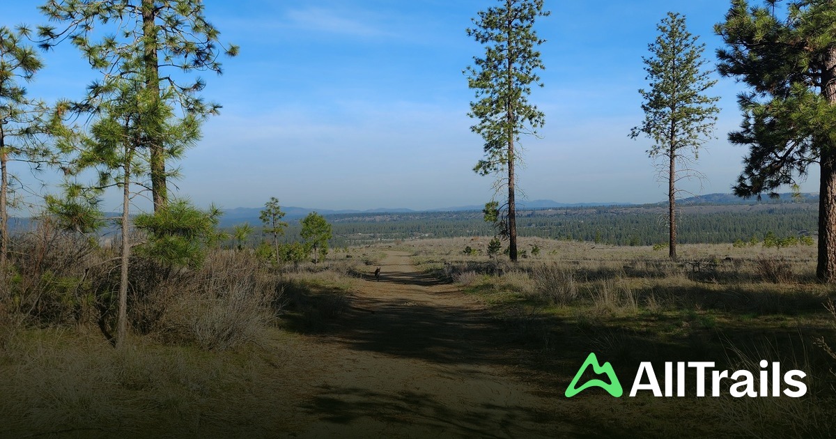 Muley Canyon Boat-In Campground - hikes and trails to get you there ...