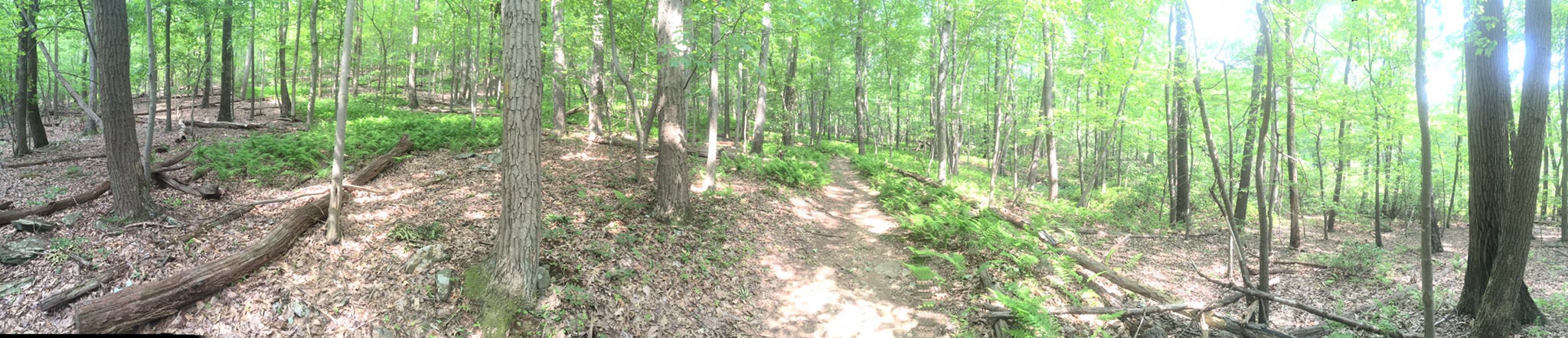 Gambrill State Park | Maryland State Parks | AllTrails.com