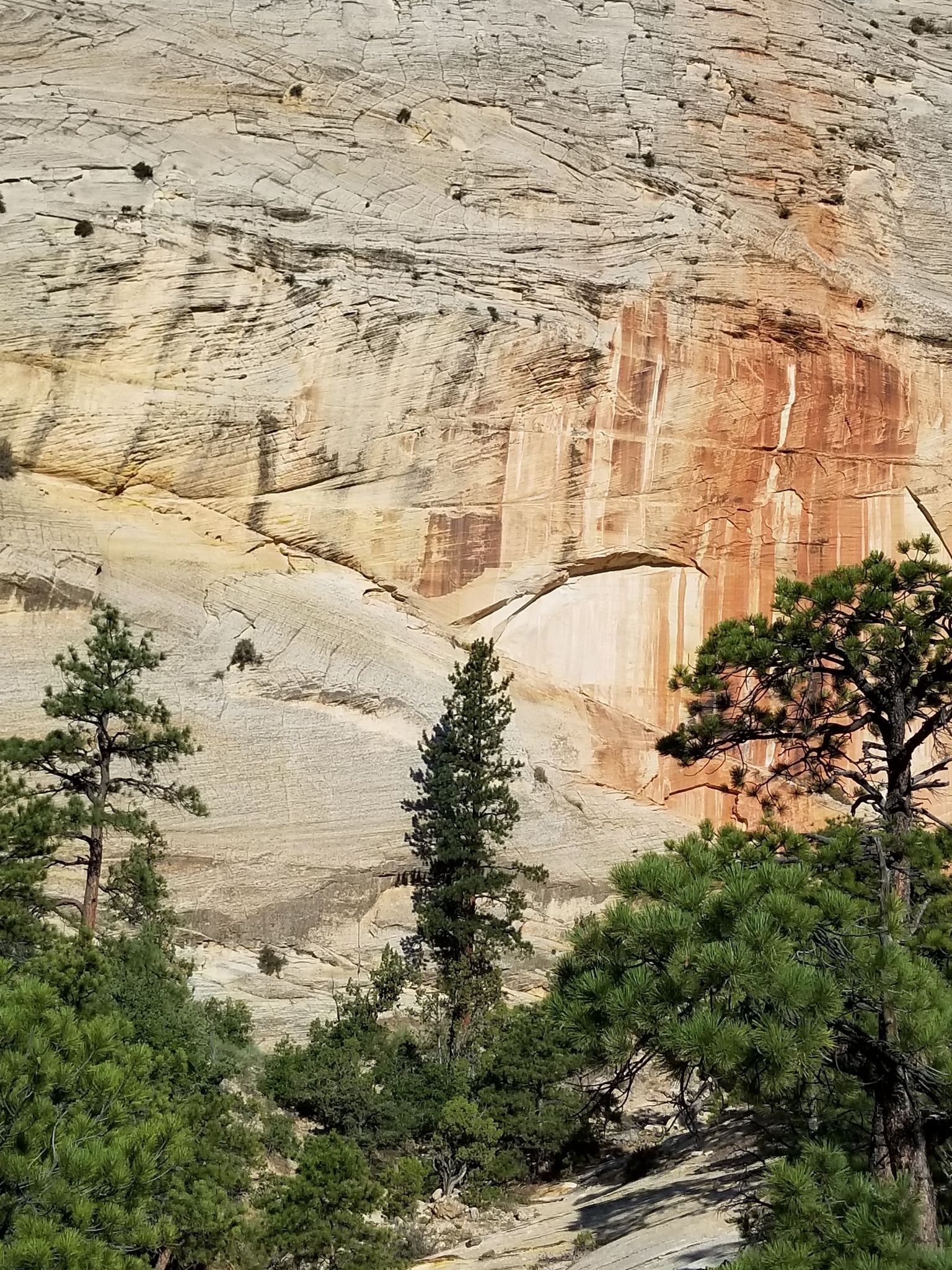 Hidden Arch Trail - Utah | AllTrails