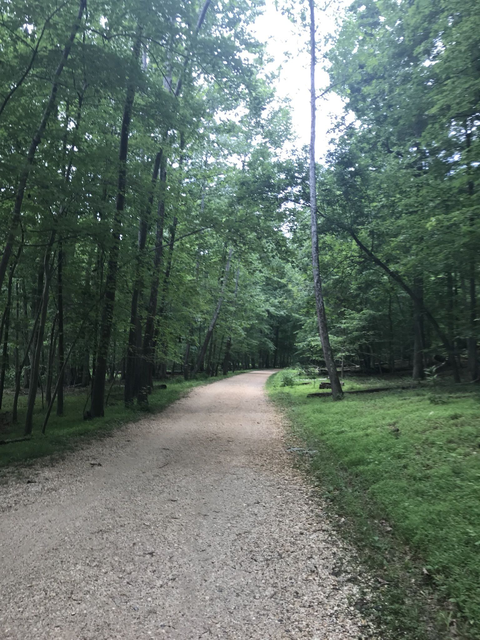 Matildaville Trail - Virginia | AllTrails