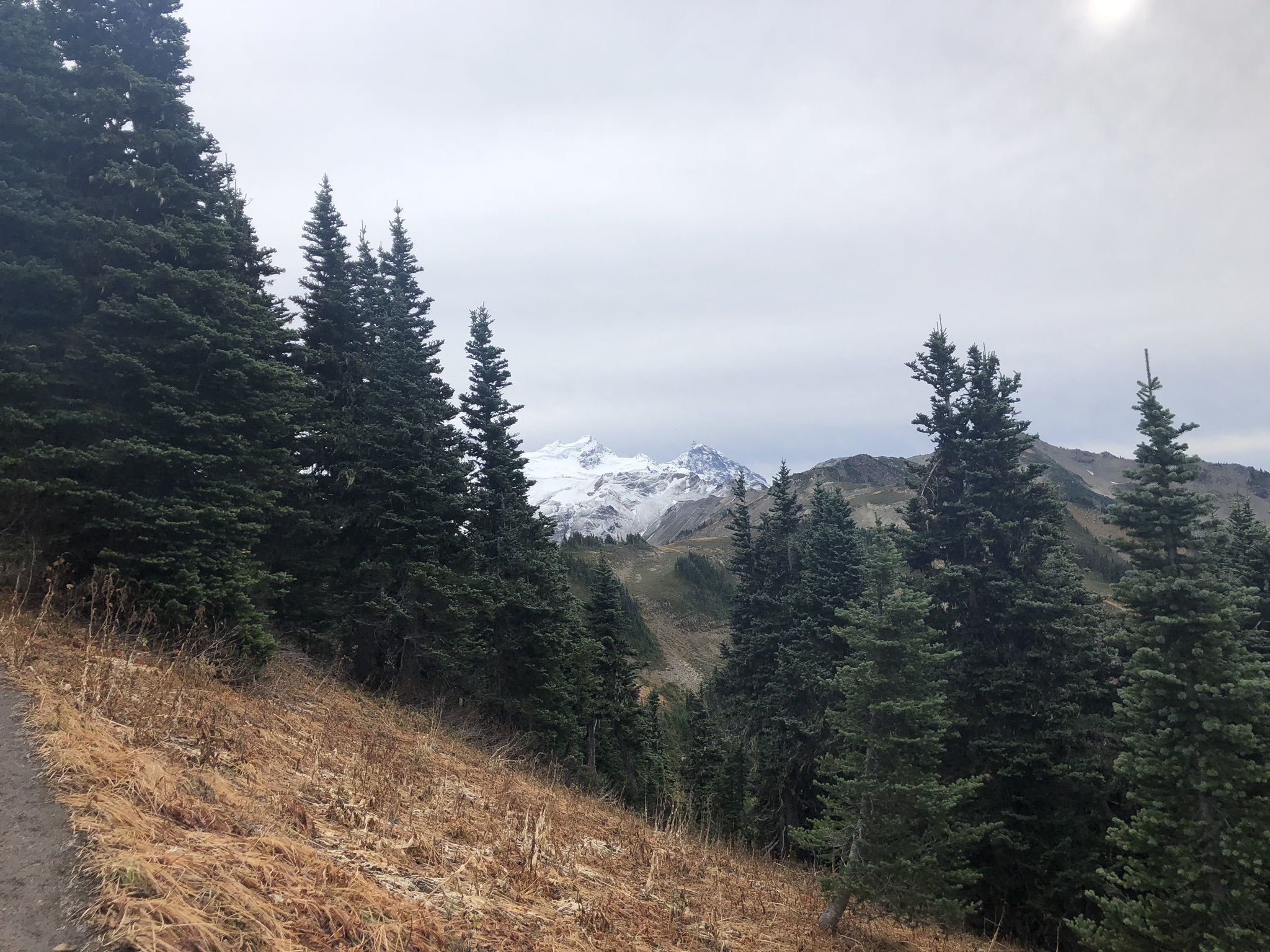 Skyline Divide Trail - Washington | AllTrails