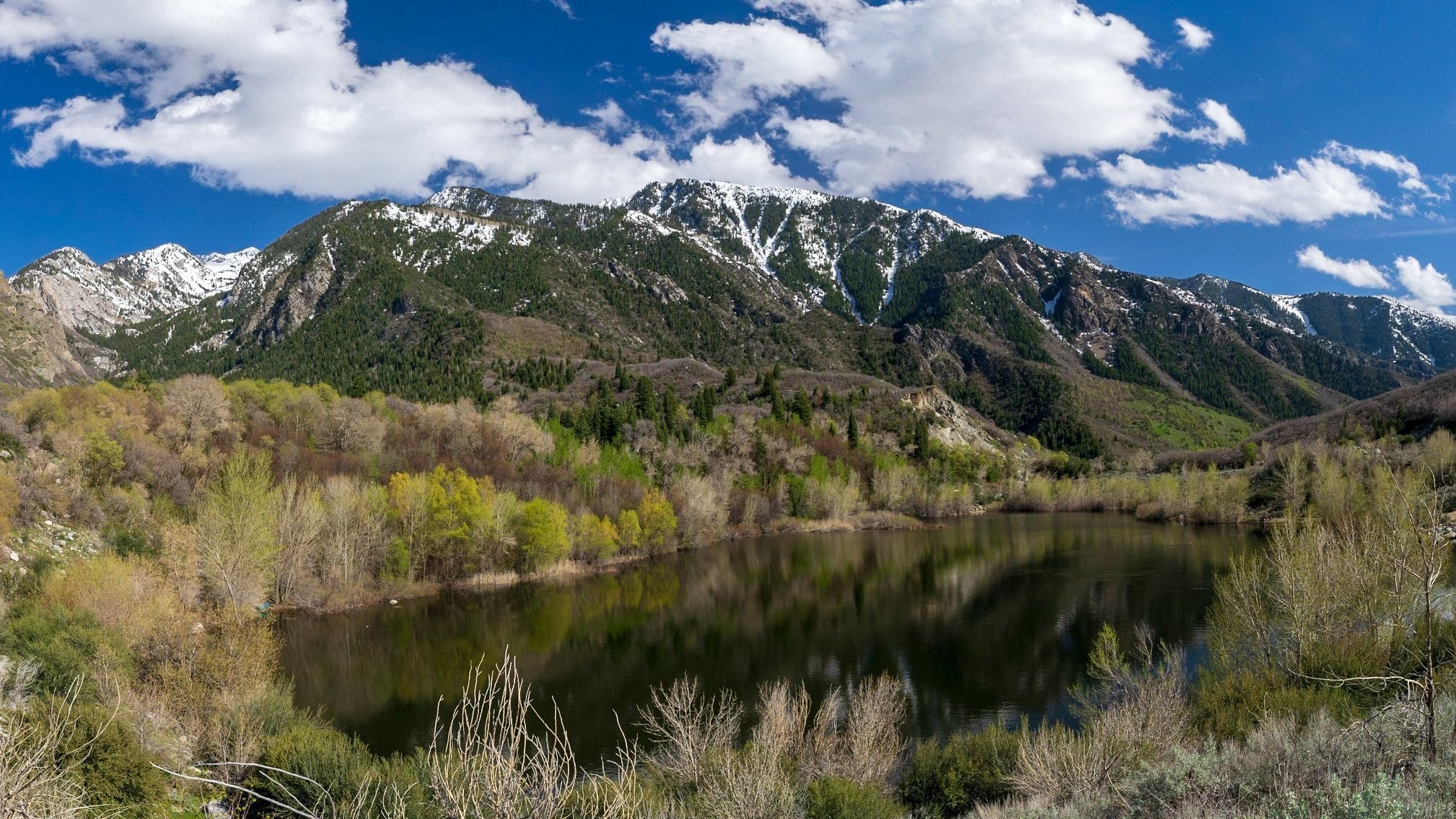Lower Bells Canyon Reservoir Overlook - Utah | AllTrails