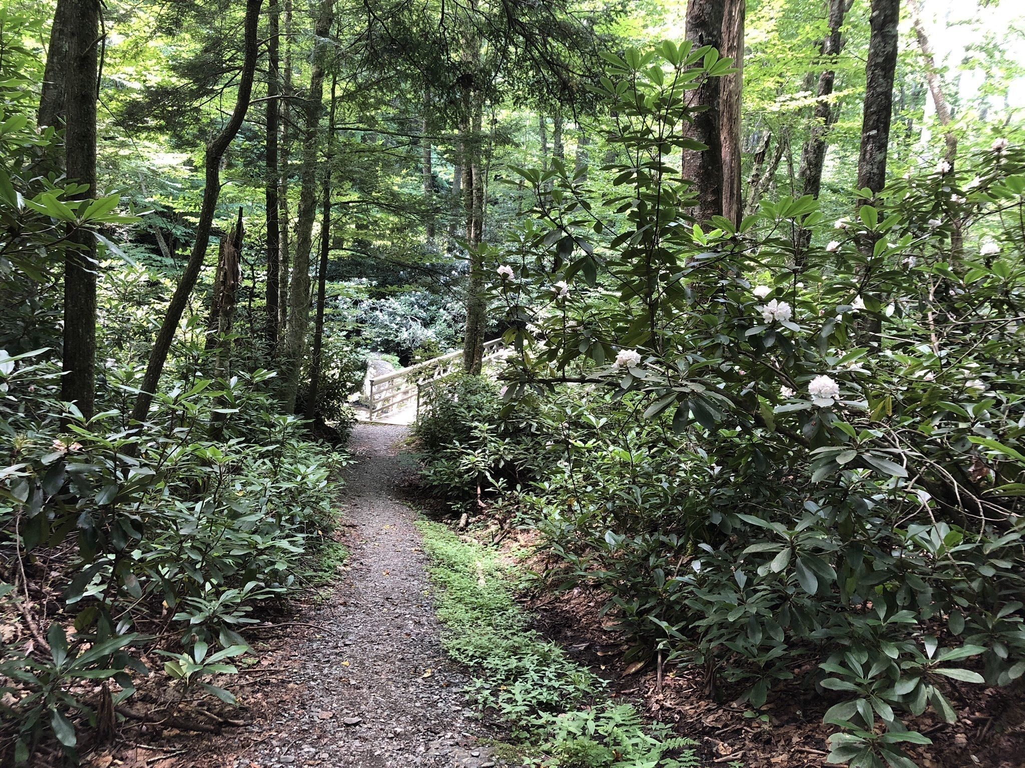 Mountains to Sea: Goshen River Trail - North Carolina | AllTrails