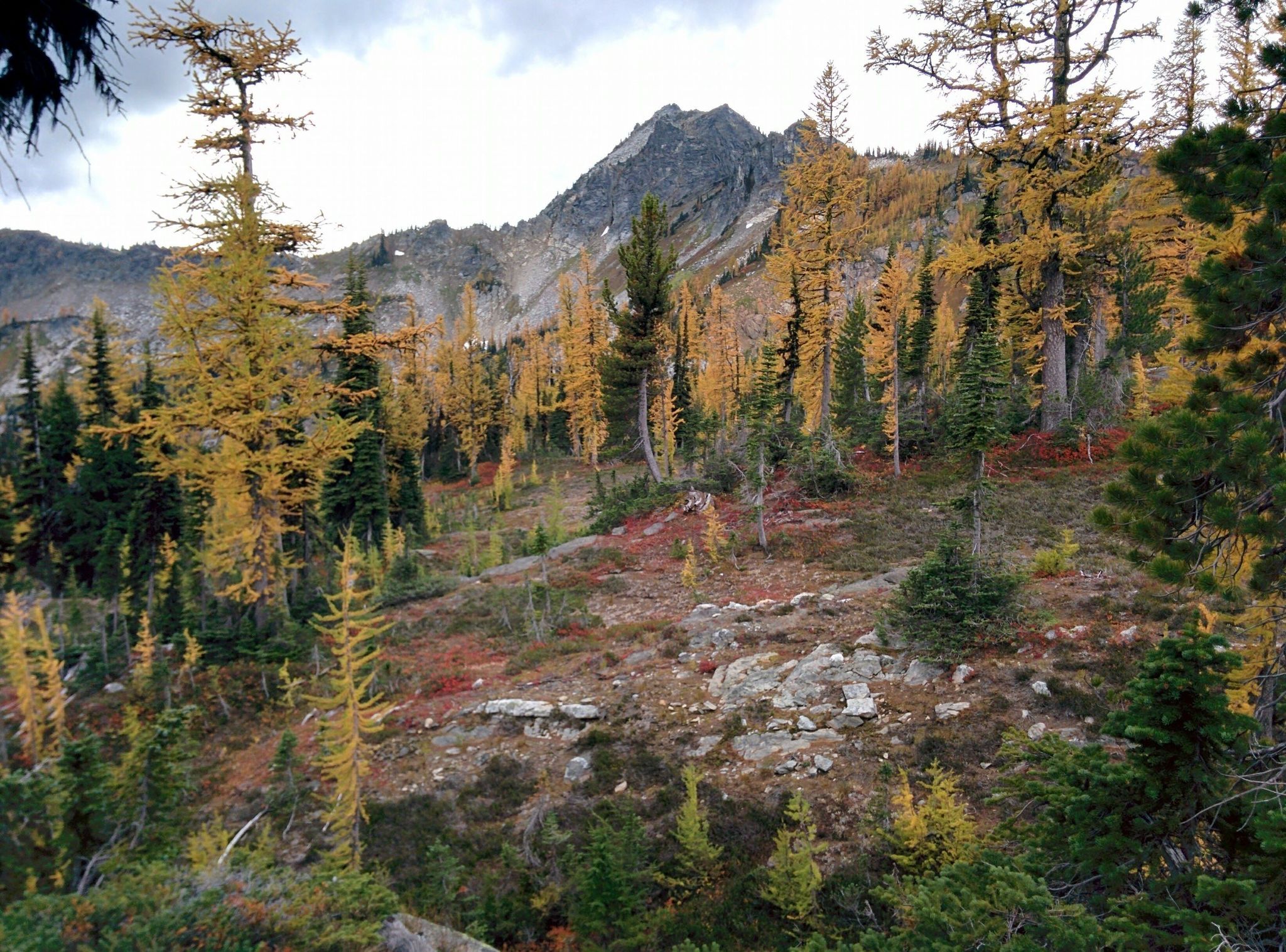 Lake Edna via Chatter Creek Trail - Washington | AllTrails