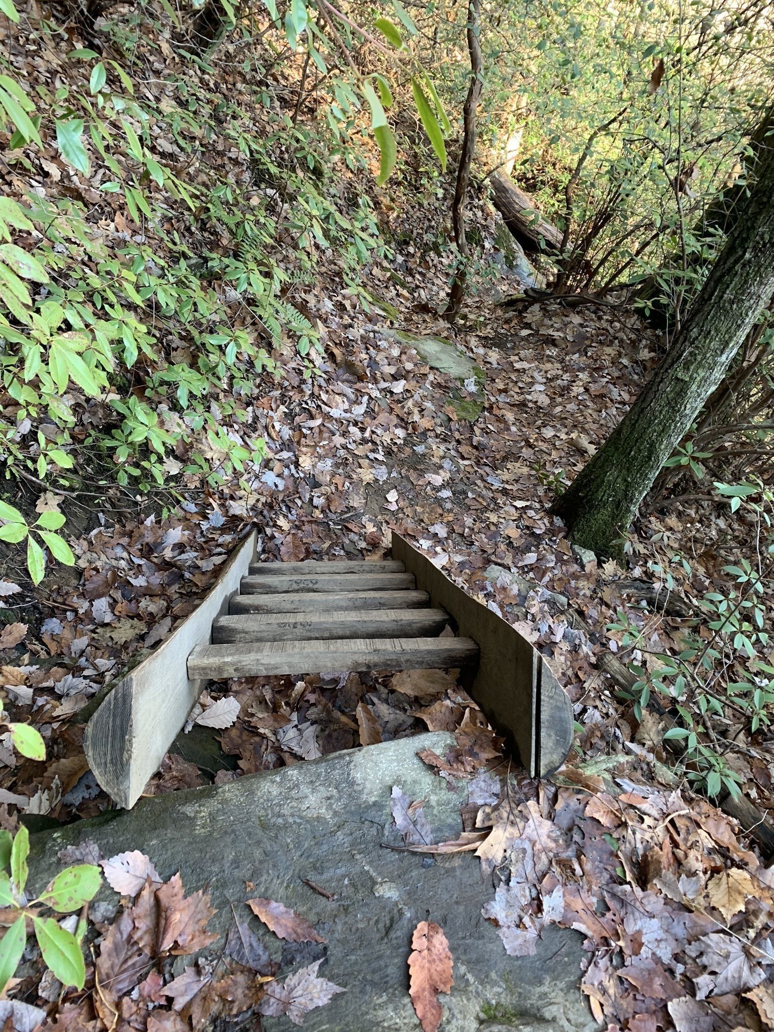 Raven Cliff Falls and Dismal Trail Loop - South Carolina | AllTrails