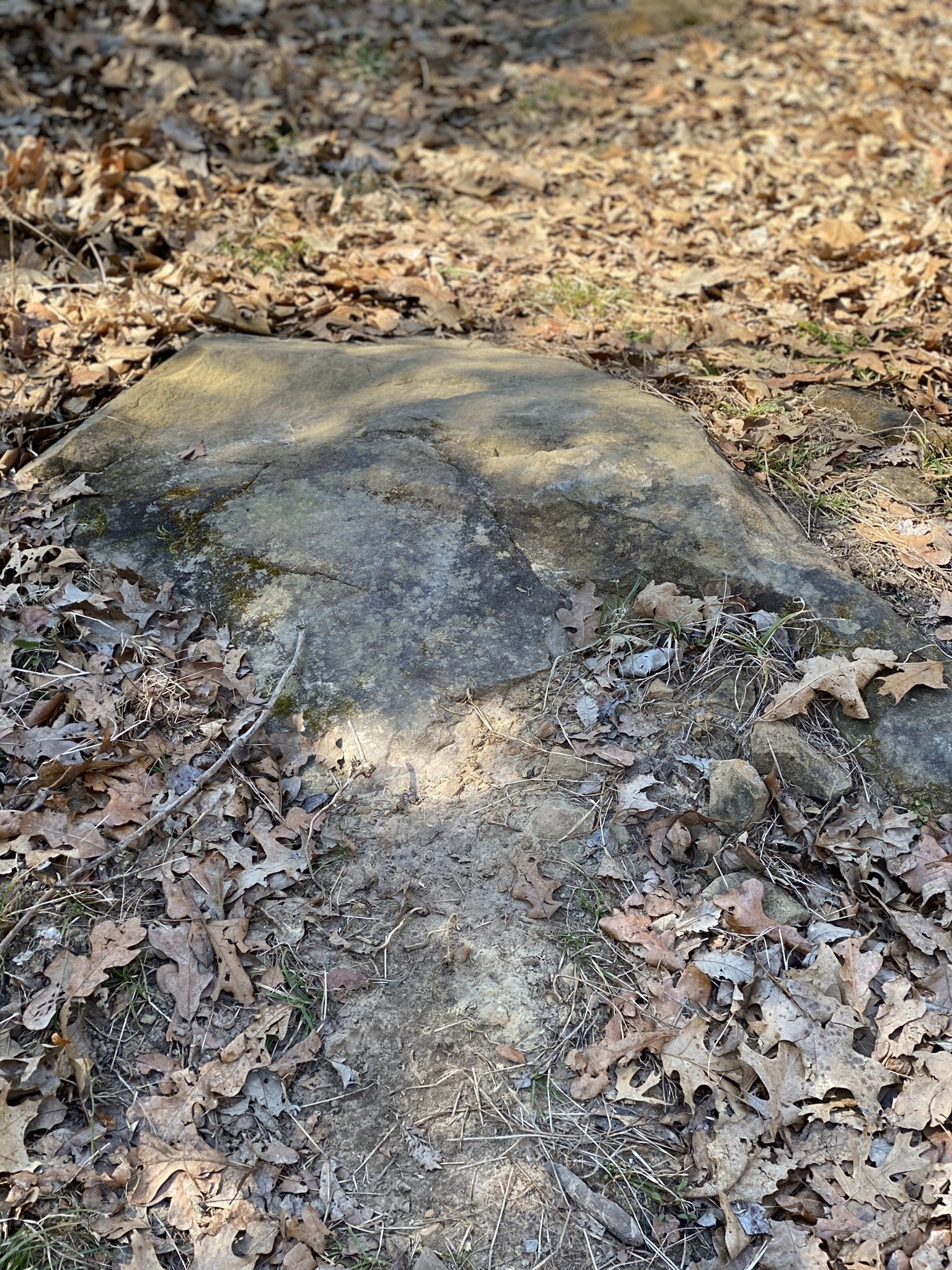 Keystone Ancient Forest Loop - Oklahoma | AllTrails