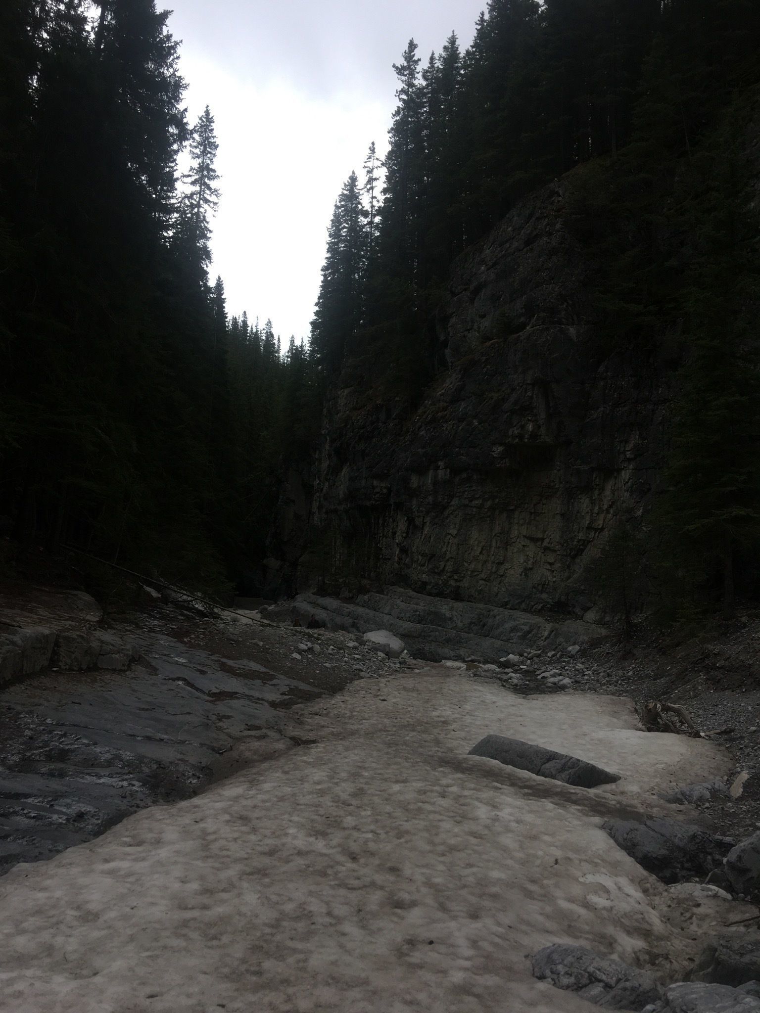 Grotto Canyon Trail - Alberta, Canada | AllTrails