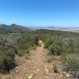 Prefumo Canyon Vista Point Trail - California | AllTrails