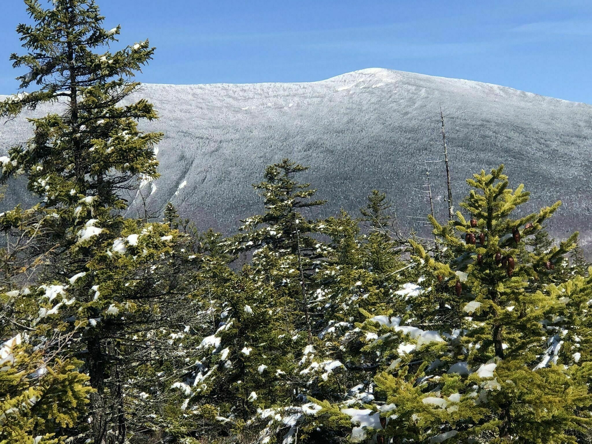Blueberry Mountain Trail - New Hampshire | AllTrails