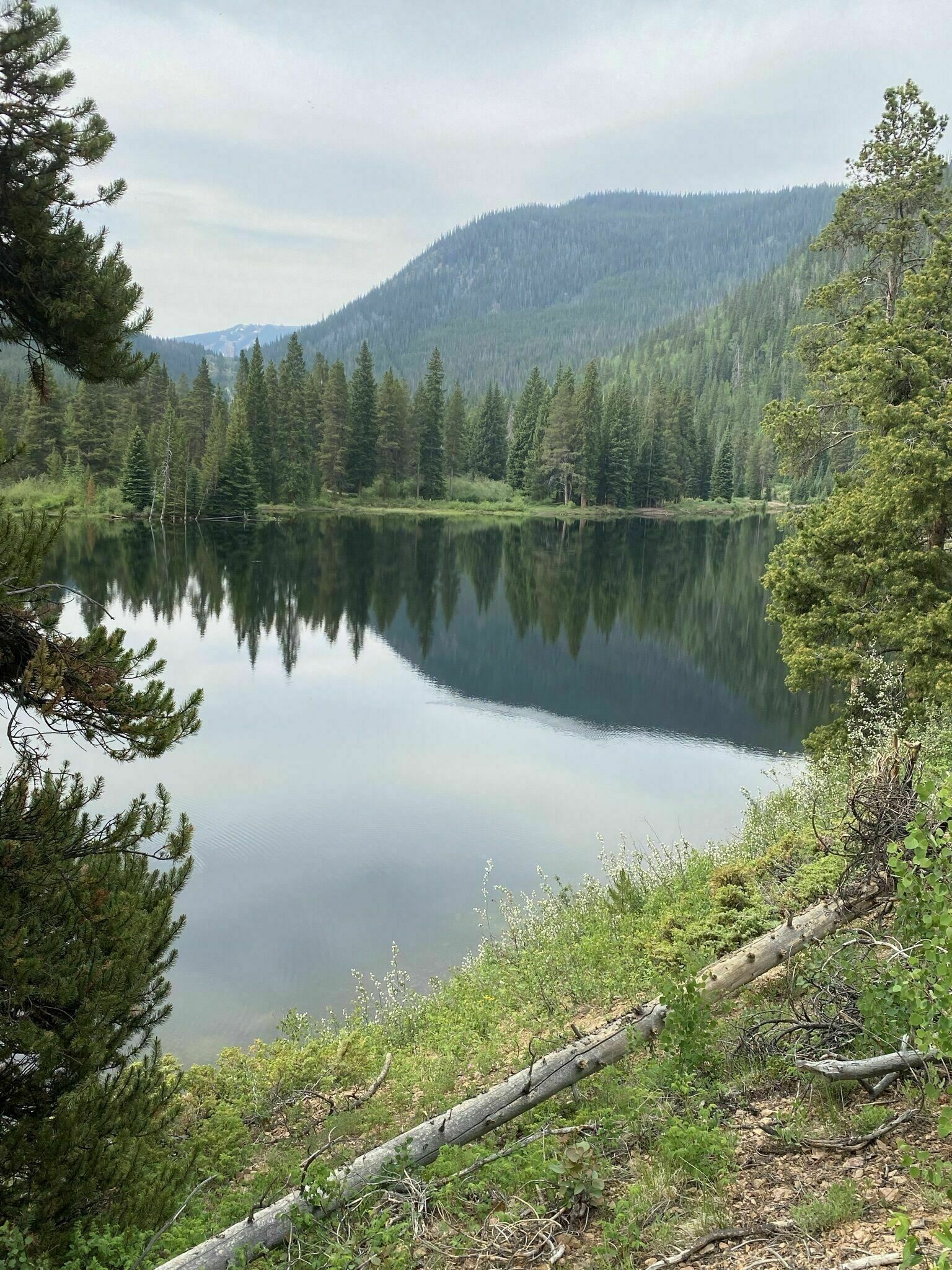 Officers Gulch - Colorado | AllTrails