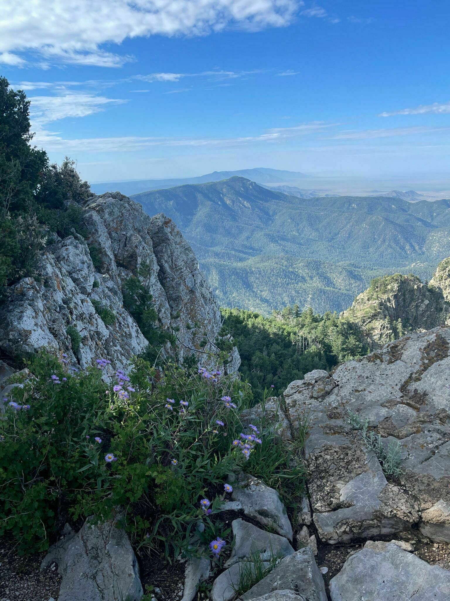 Tree Spring Trail - New Mexico | AllTrails